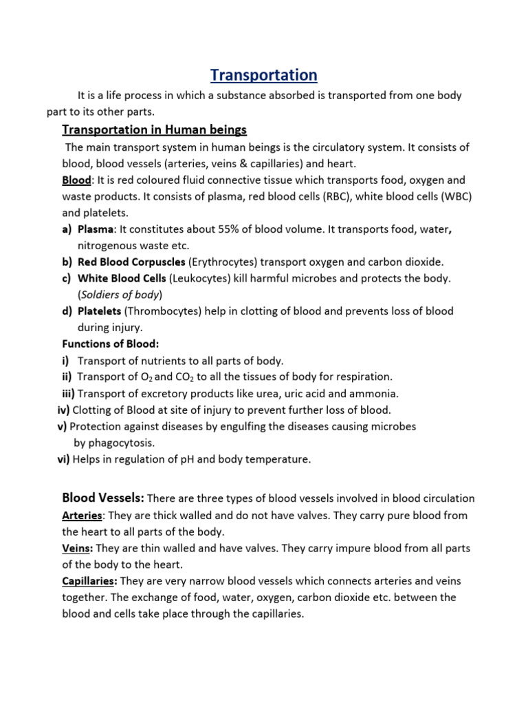 Life Process-Transportation | PDF | Atrium (Heart) | Heart Valve