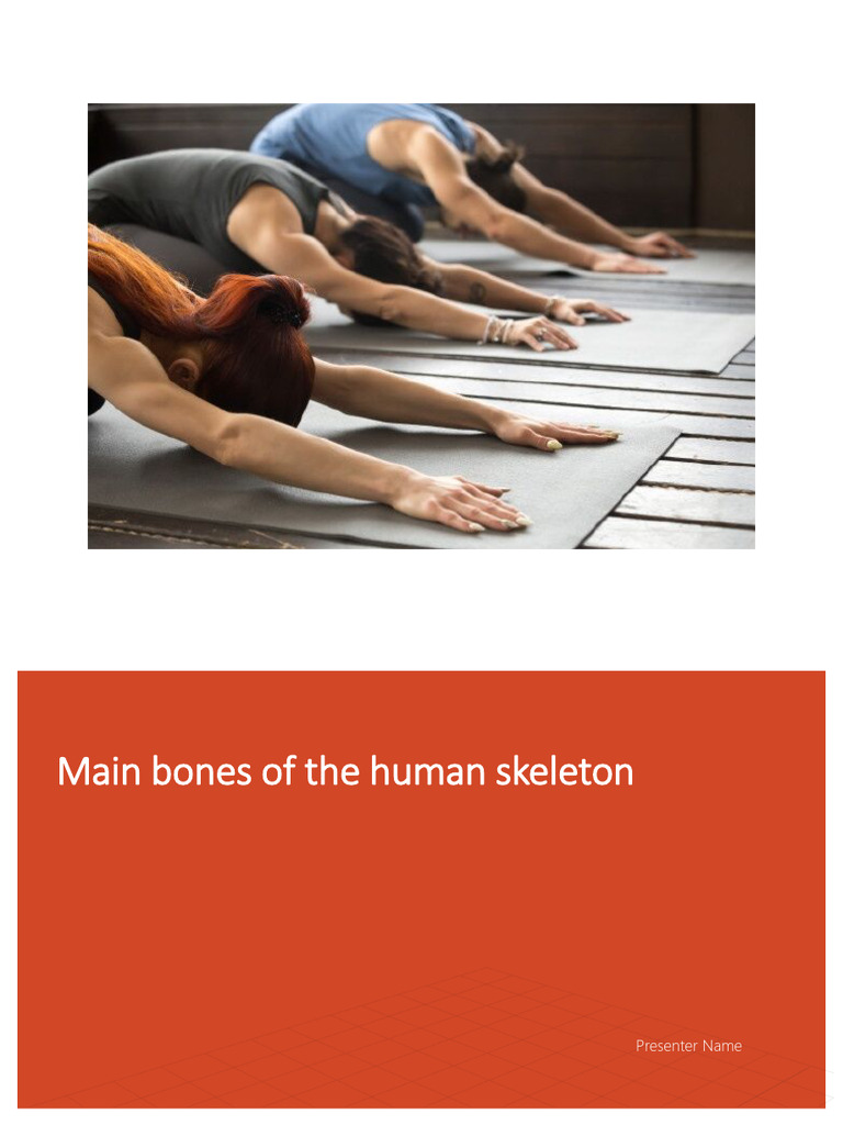 Main Bones of The Human Skeleton | PDF