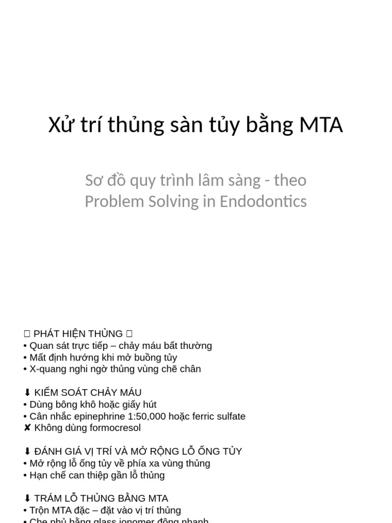So Do Xu Tri Thung San Tuy MTA | PDF
