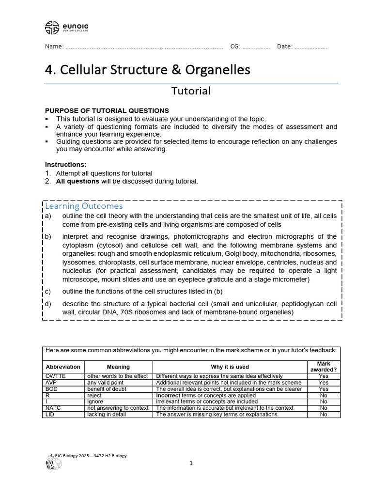 4 Cellular Structures & Organelles Tutorial 2025 (Q) | PDF ...
