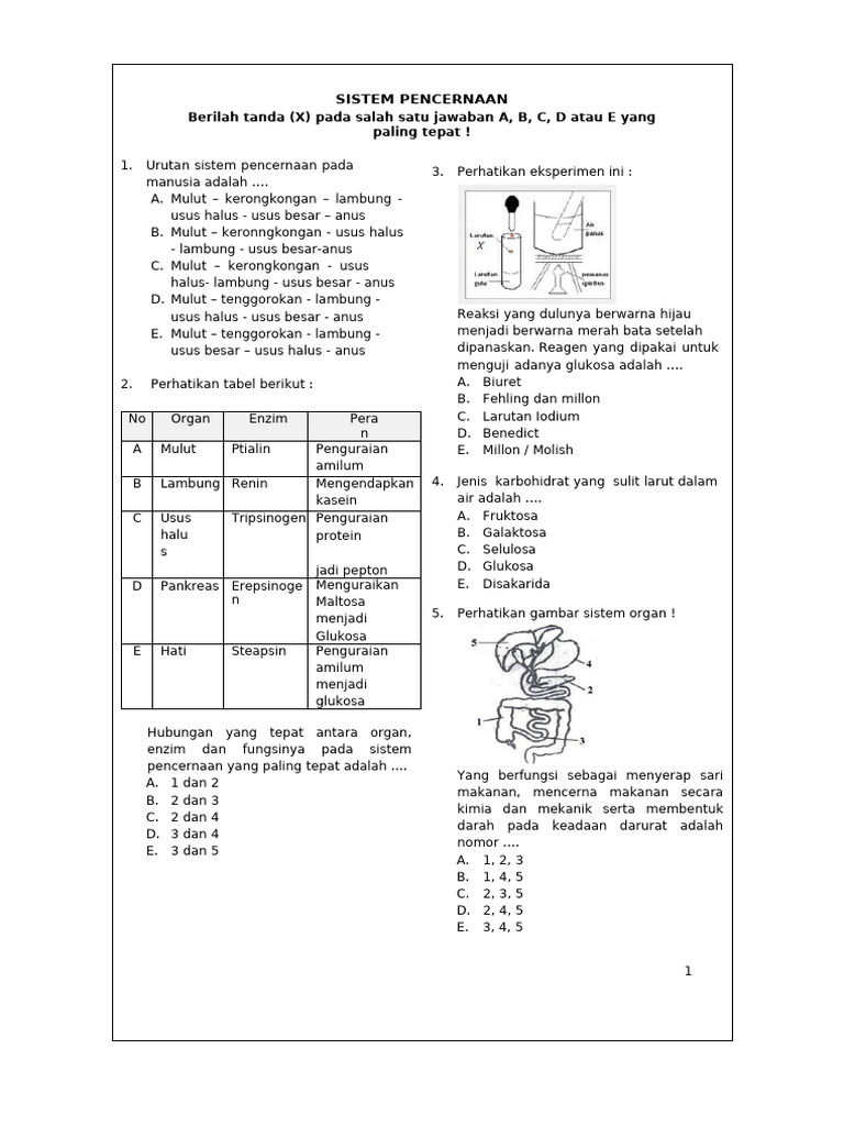 6 Latihan Soal Sistem Pencernaan | PDF