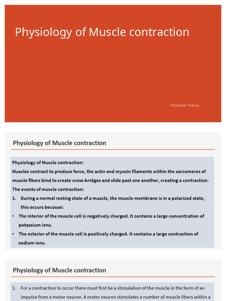 Physiology of Muscle Contraction | PDF