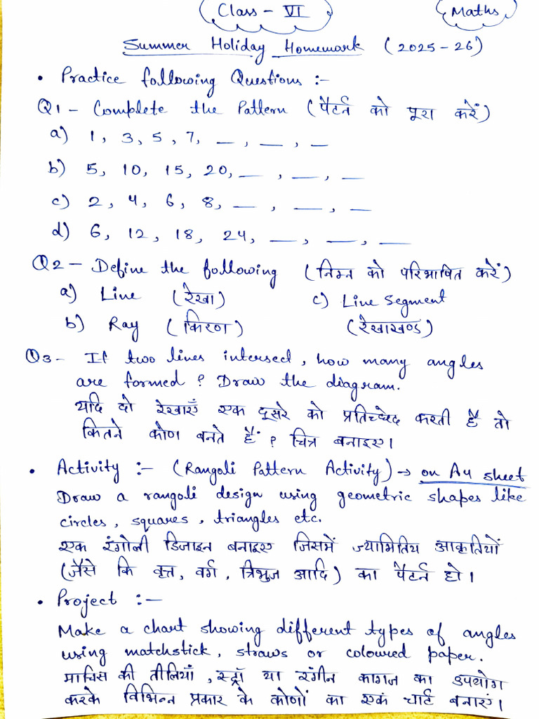 Maths Holiday Homework Class 6th | PDF