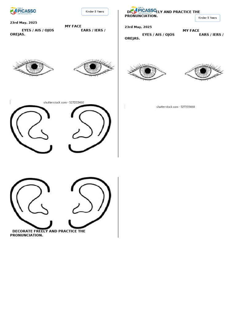 Worksheet My Face Eyes Ears Kinder 5 Years Picasso | PDF