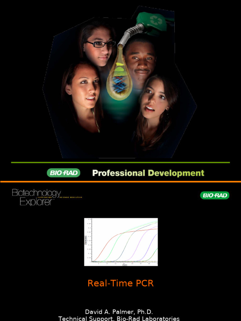 Real-Time PCR Basics | PDF | Polymerase Chain Reaction | Real Time ...