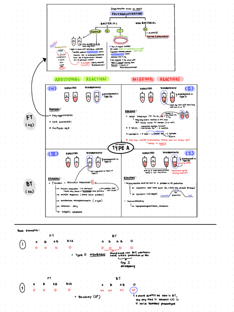 Blood Typing Discrepancies | PDF | Clinical Medicine | Vertebrates