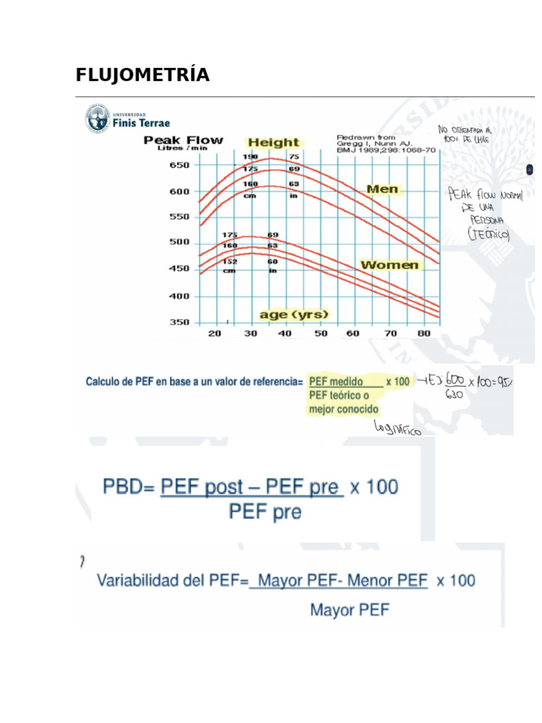 FLUJOMETRÍA | PDF