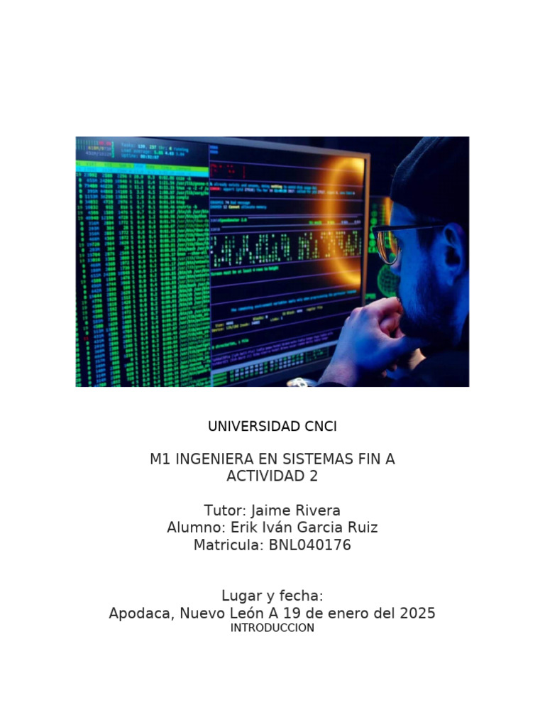 M1 Ingenieria de Sistemas II FIN ACT 2 | PDF | Business | Economias