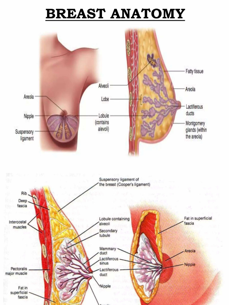Unit-2 Disorders of Breast | PDF