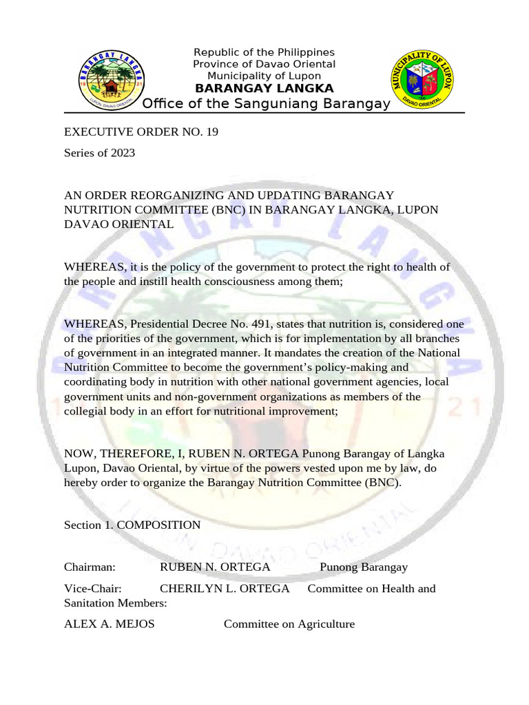 Reorganizing Barangay Nutrition Committee | PDF