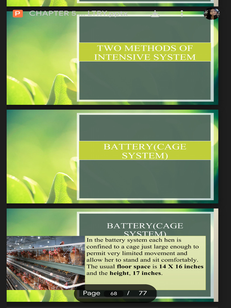 CHAPTER 5 ANIMAL SCIENCE POULTRY - PPTX - Google Drive | PDF