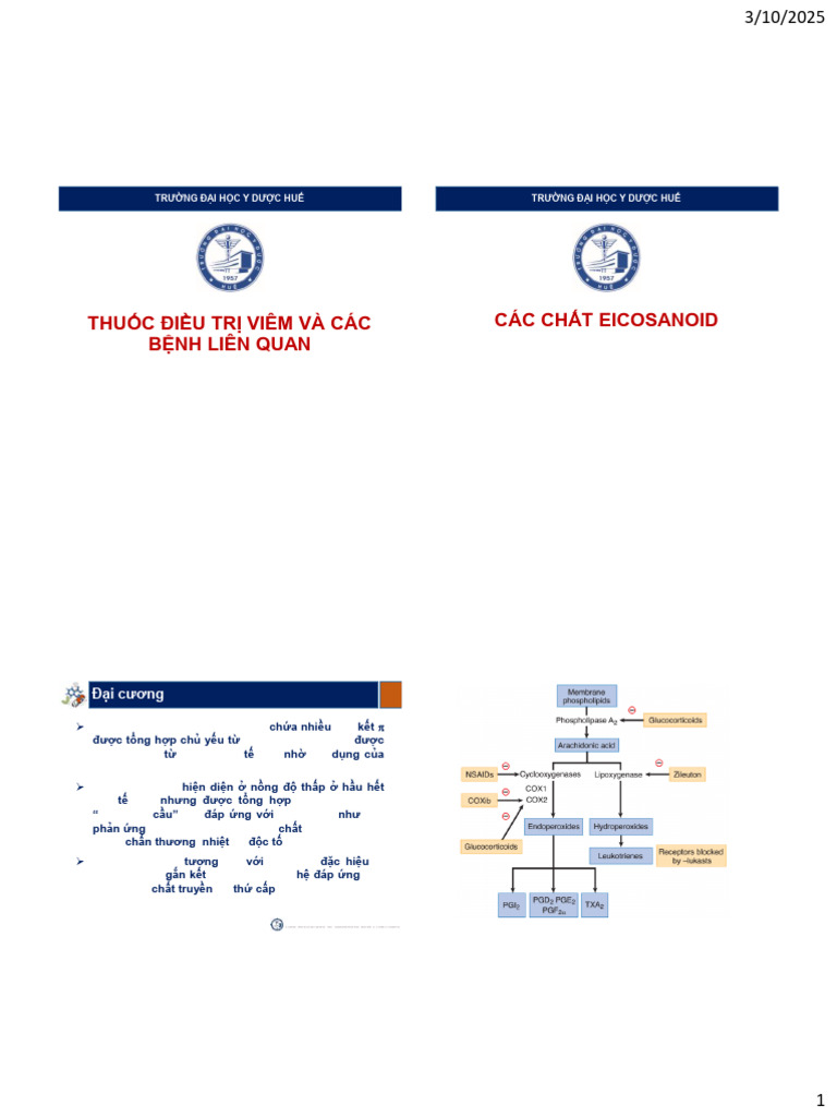 Viem Va Cac Benh Lien Quan | PDF