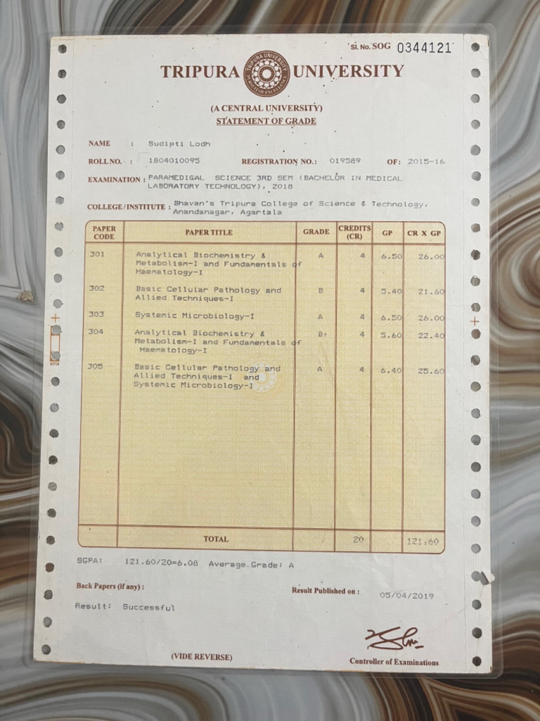 Graduation Marksheet | PDF