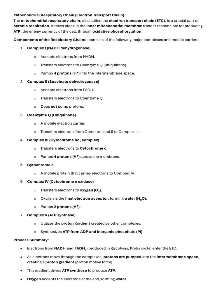 Mitochondrial Respiratory Chain | PDF | Electron Transport Chain ...