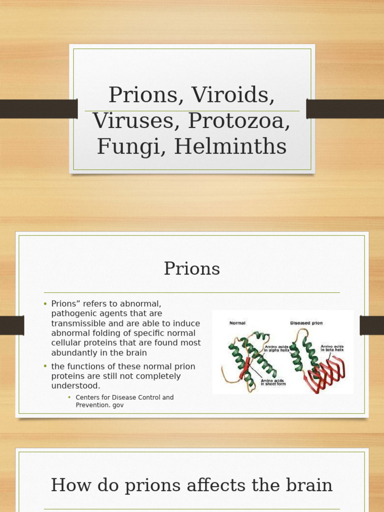 Prions, Viroids, Viruses, Protozoa | PDF | Fungus | Biology
