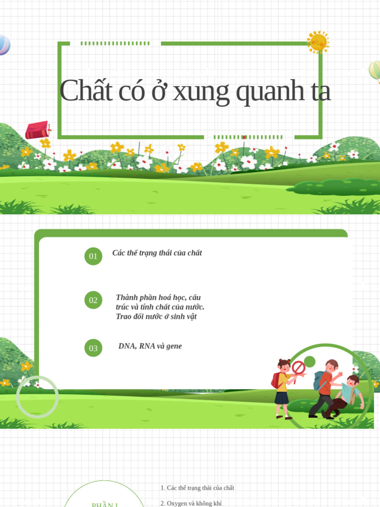 Môn PTCT GDMH | PDF