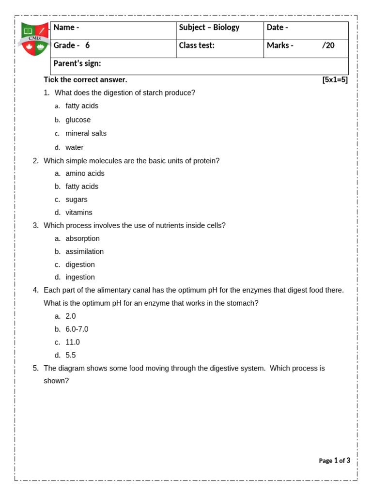 Digestive System Test Questions | PDF | Digestion | Gastroenterology