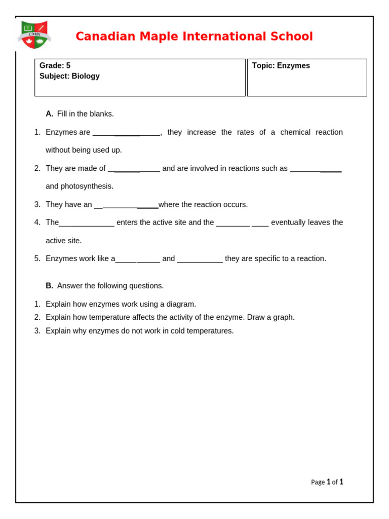 G5 - Biology - Enzymes - Workseet - T2 - 2024-25 | PDF
