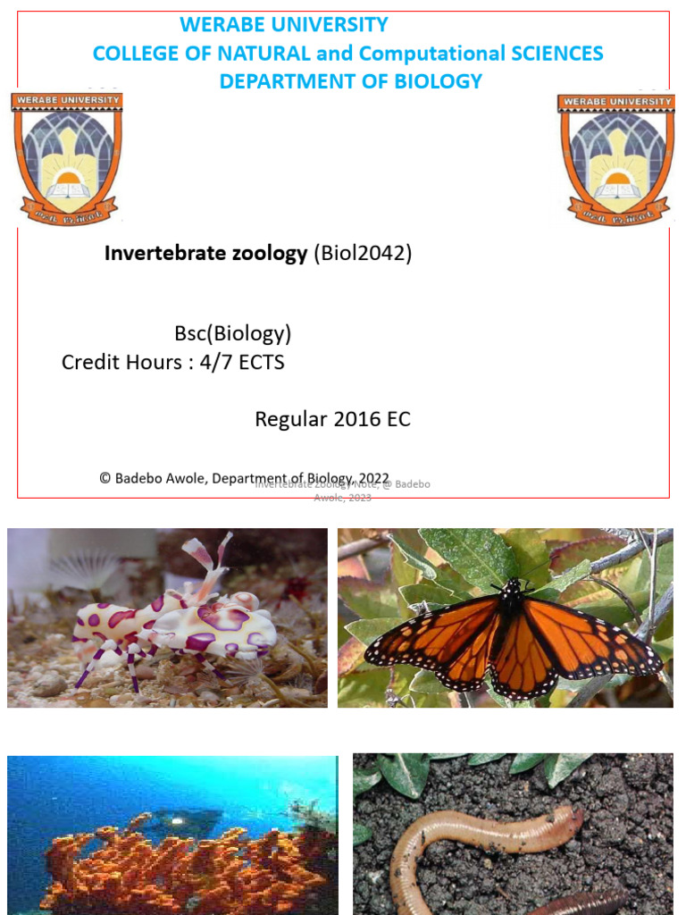 2016 EC Invertebrate Zoology Ppt-1 | PDF | Embryo | Plasmodium