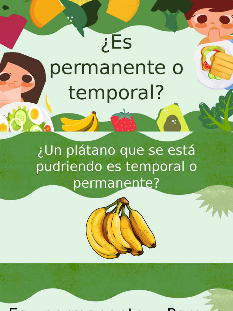 Permanencia vs. Temporalidad en Objetos | PDF