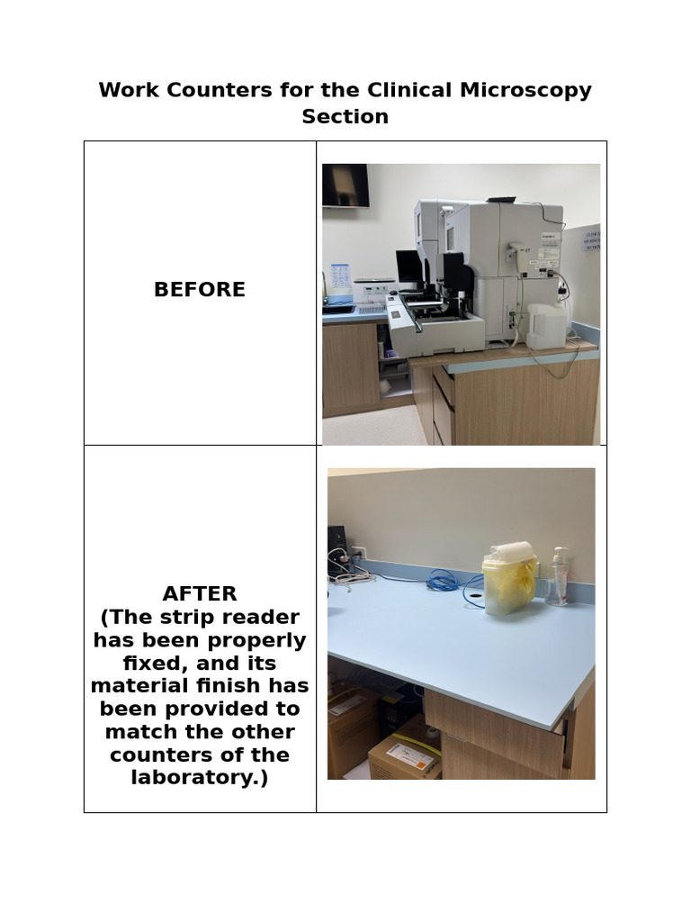 Work Counters For The Clinical Microscopy Section | PDF