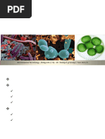 Table MPN 5 Tubes | PDF