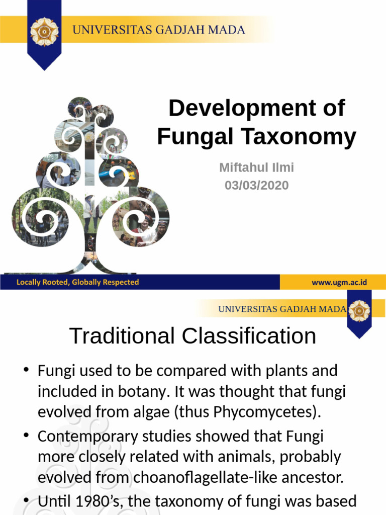 4 Development of Fungal Taxonomy | PDF | Fungus | Biology