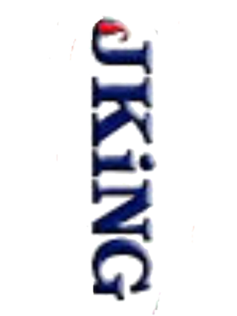 JKING Logo | PDF