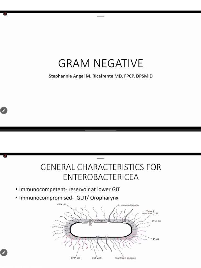 Gram Negative | PDF