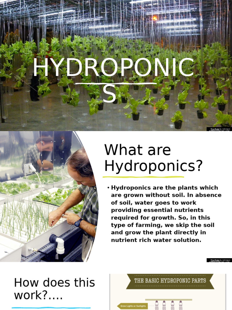 Hydroponics | PDF