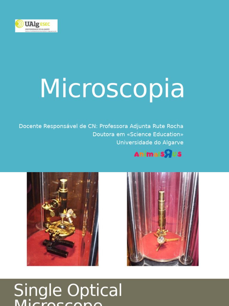 PPT Micros | PDF