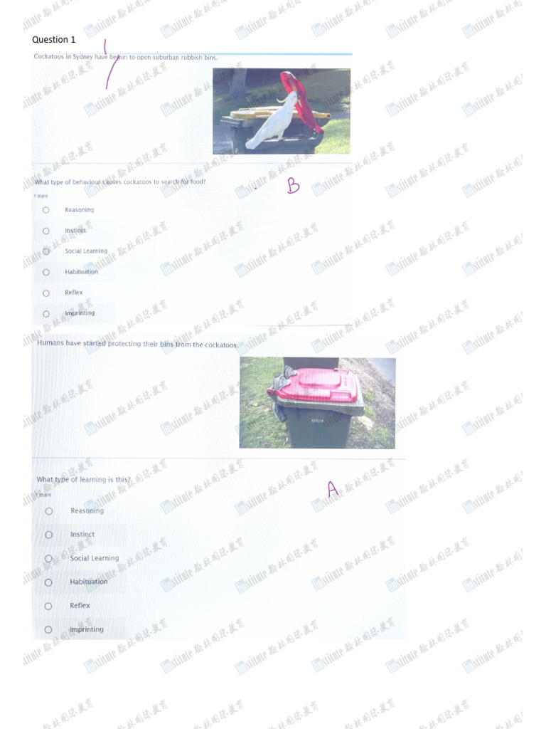 Comprehensive Question List | PDF
