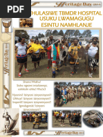 Umlando WamaZulu Ngesizulu | PDF