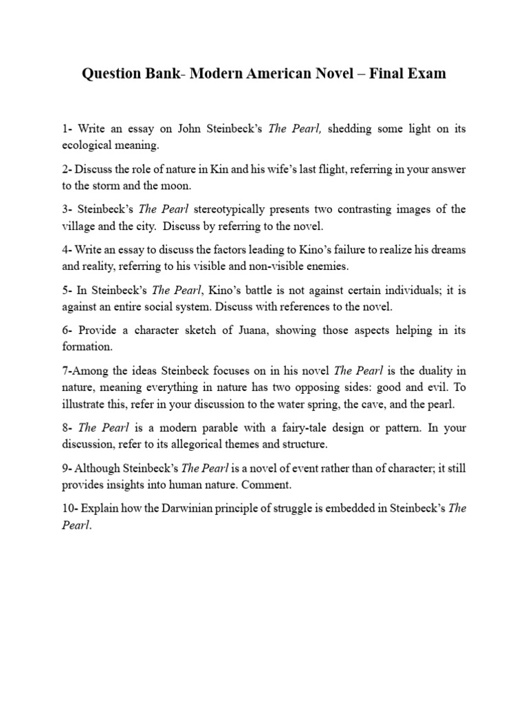 Modern American Novel Final Exam Question Bank | PDF