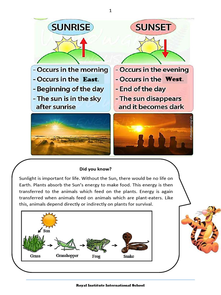 East West: Earth. Plants Absorb The Sun's Energy To Make Food. This ...