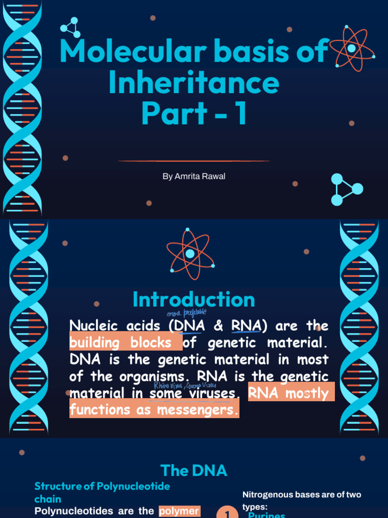 Molecular Basis Of Inheritance Pdf Operon Genetic Code 0233