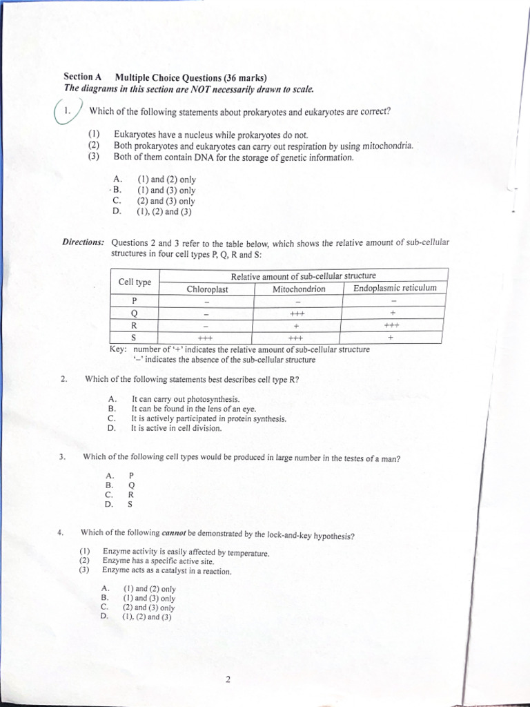 F4bio Mc+ans | PDF