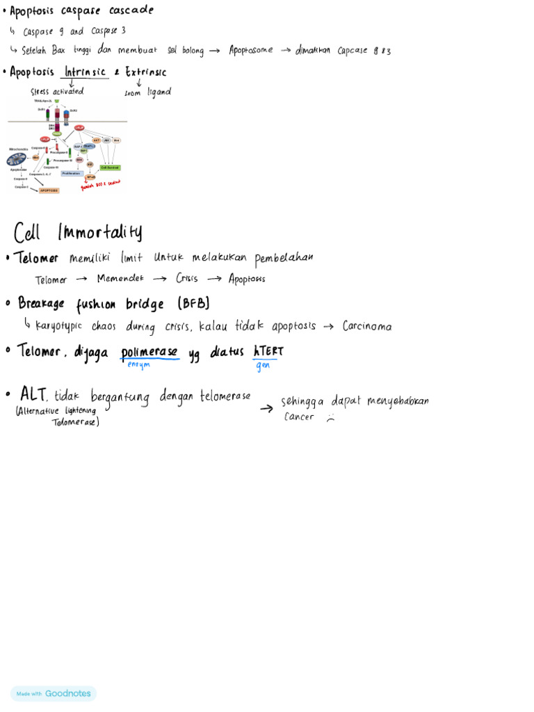 Catatan Kuliah smt 7 (ketinggalan bikanker) | PDF