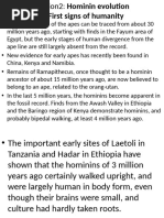 Human Evolution Chart | PDF | Homo | Human Evolution