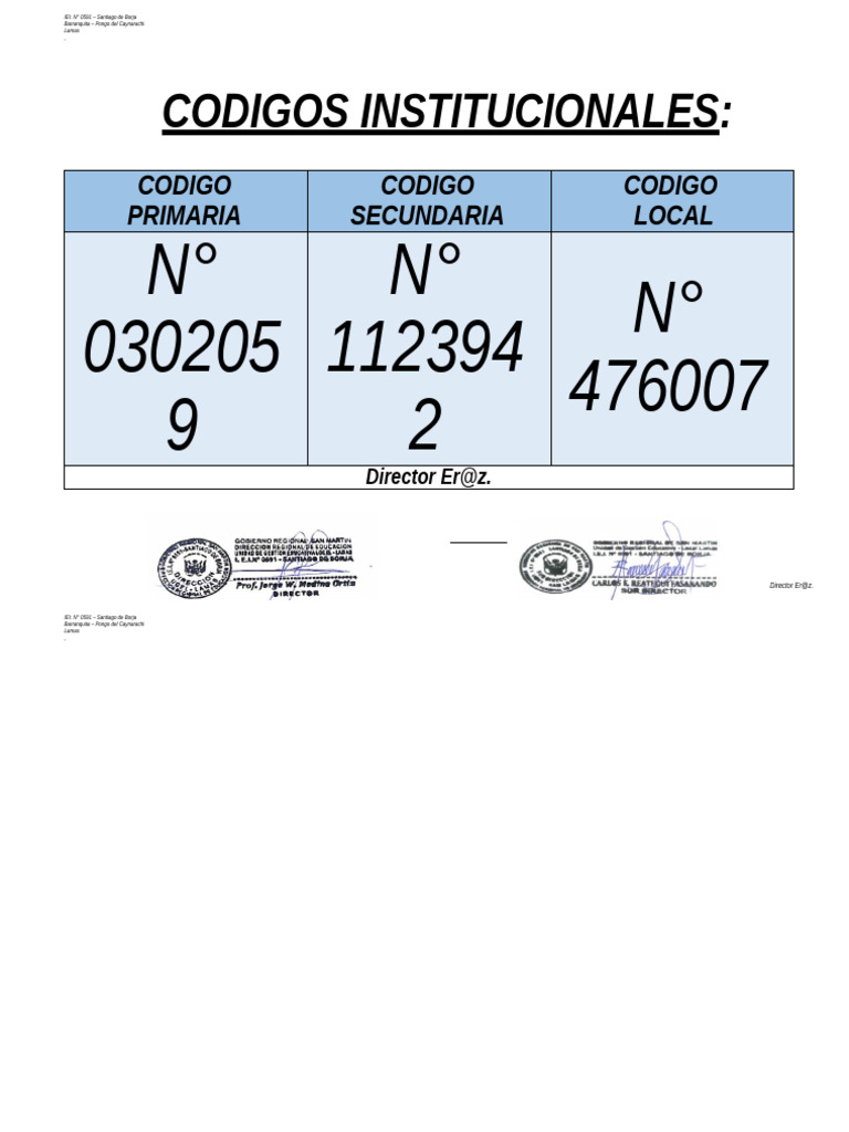 CODIGOS - IEI #0591 Stgo. de Borja. | PDF