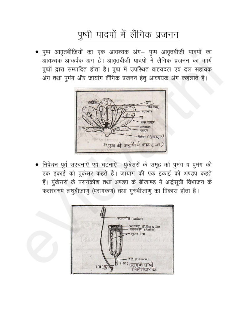 Chapter 2 Bio Class 12 | PDF
