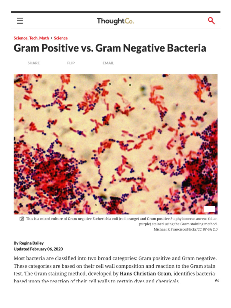 Bio 151-Gram Positive vs. Gram Negative Bacteria | PDF | Gram Positive Bacteria | Gram Negative ...