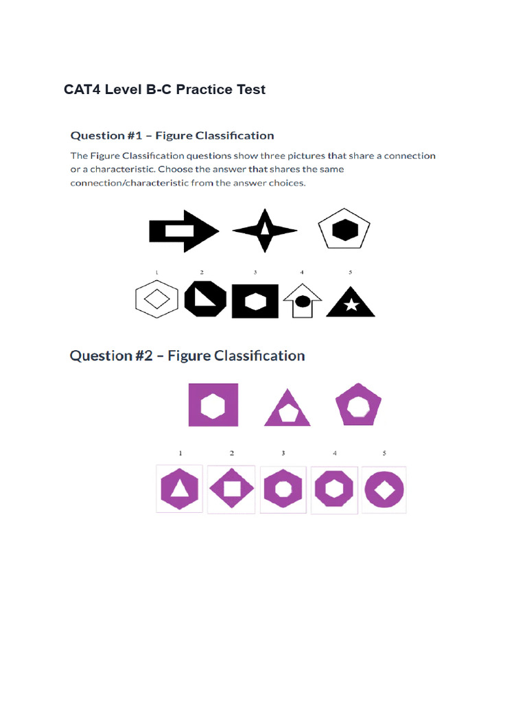 CAT4 Level B-C Practice | PDF