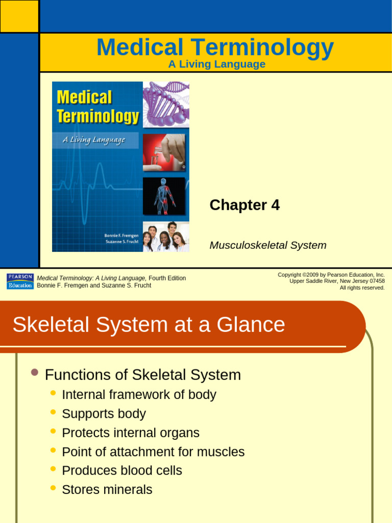 Ch04 Musculoskeletal System | PDF | Skull | Vertebral Column