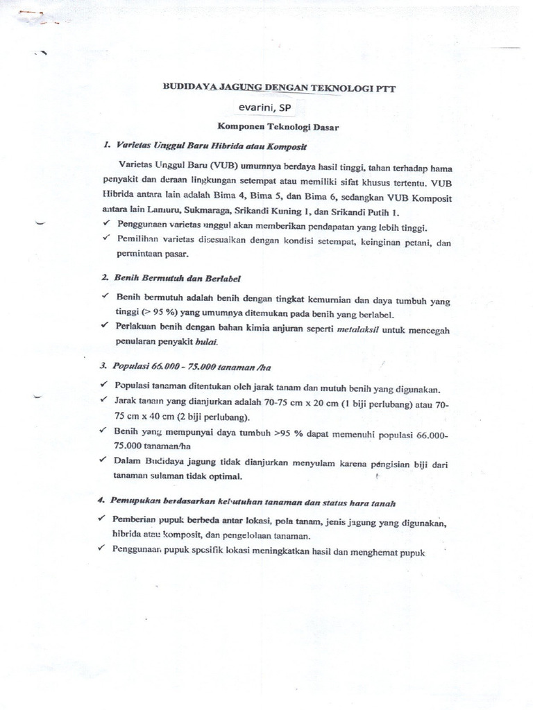 Budidaya Tanaman Jagung Teknologi PTT | PDF