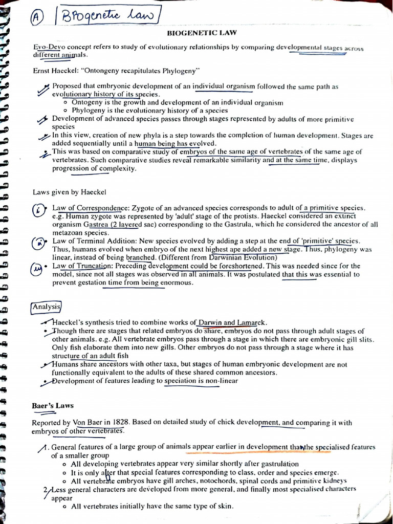 Developmental Biology | PDF