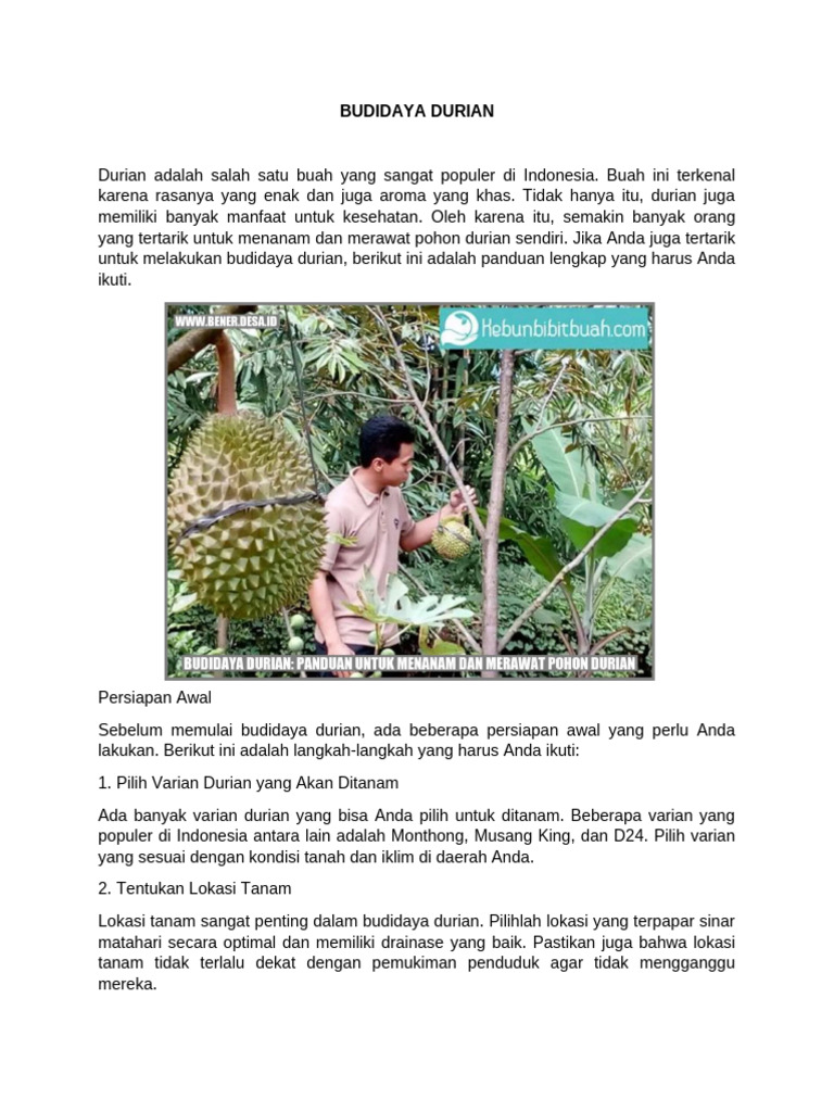 Panduan Budidaya Durian Lengkap | PDF