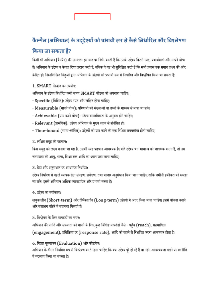 MSM-531-C Advertising Campaign Management | PDF