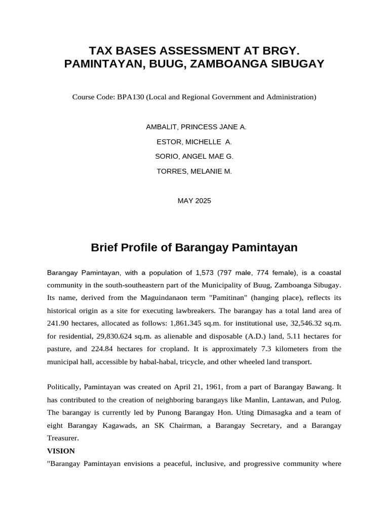 Tax Base Assessment in Barangay Pamintayan | PDF | Disaster Risk ...
