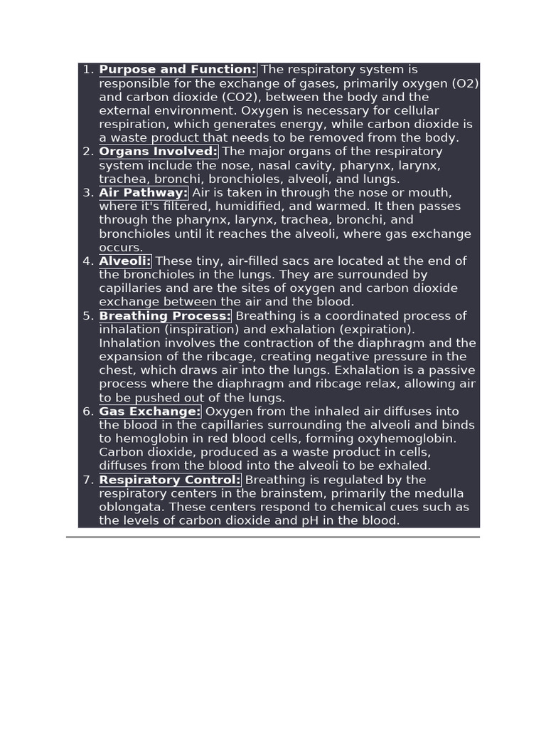 Overview of the Respiratory System | PDF